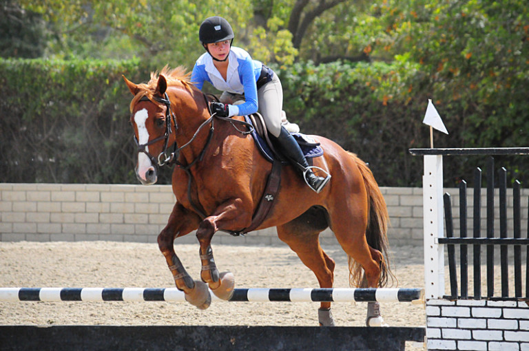 HIGH POINT - Equestrian Trails Inc.