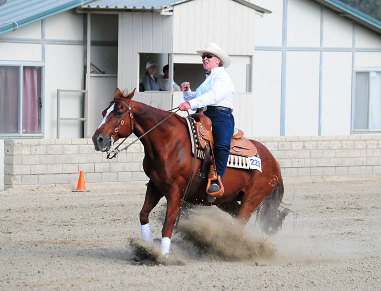 HIGH POINT - Equestrian Trails Inc.